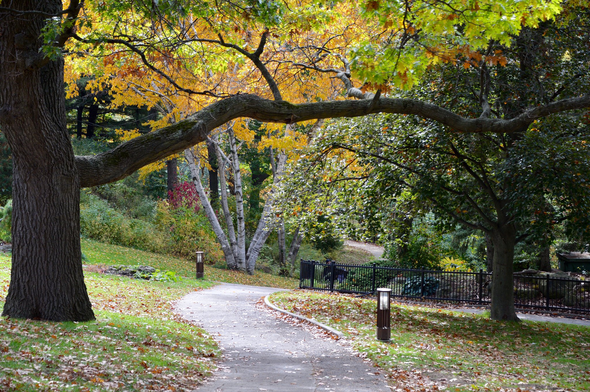 Best Running Routes in Toronto